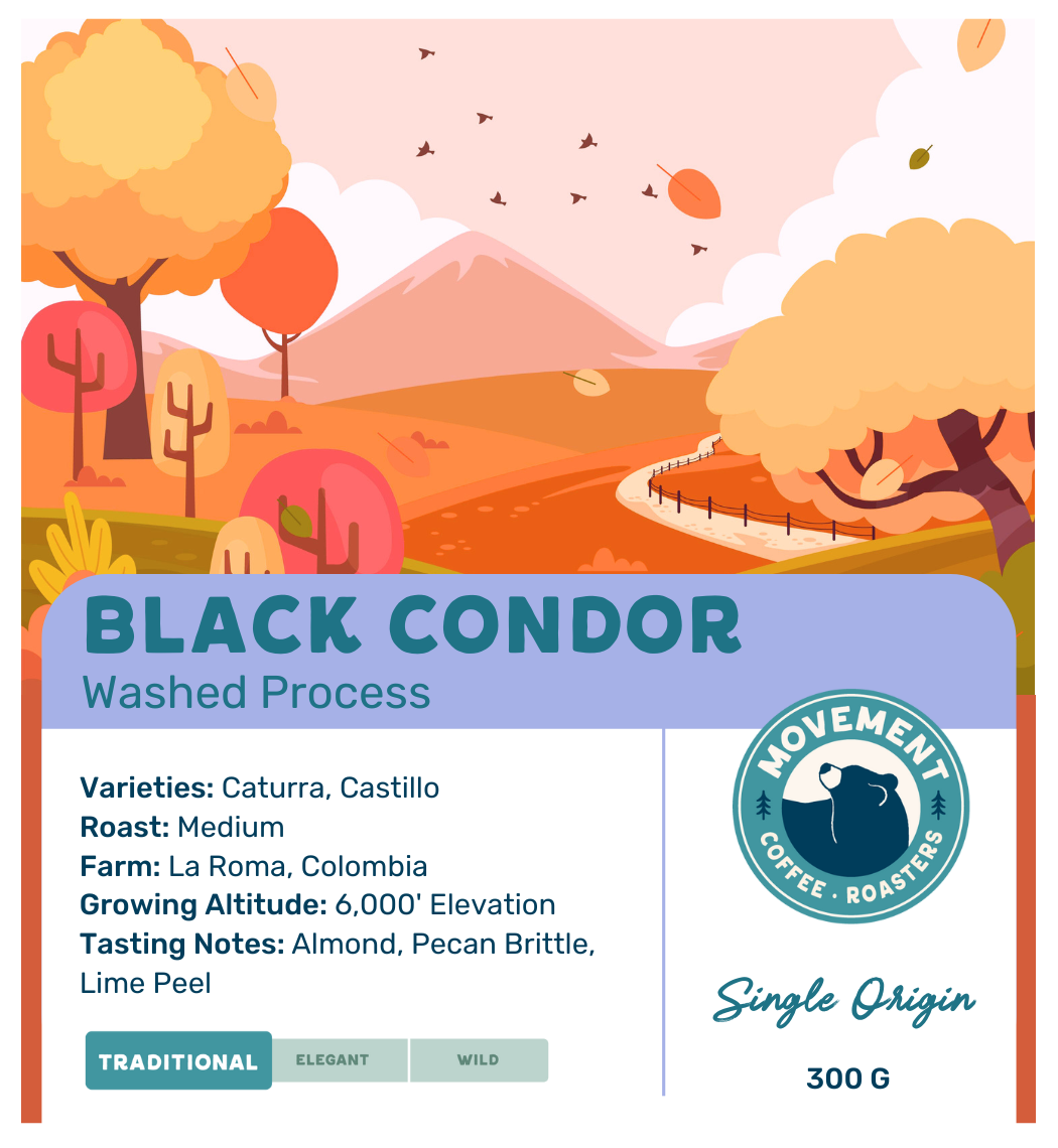 Shop Coffee | Movement Coffee