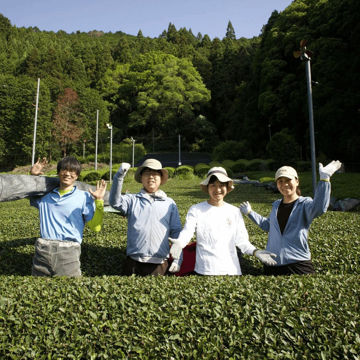Ceremonial Matcha | Movement Coffee